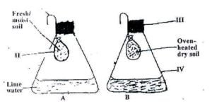 2024 BECE Integrated Science Sample Practical Questions